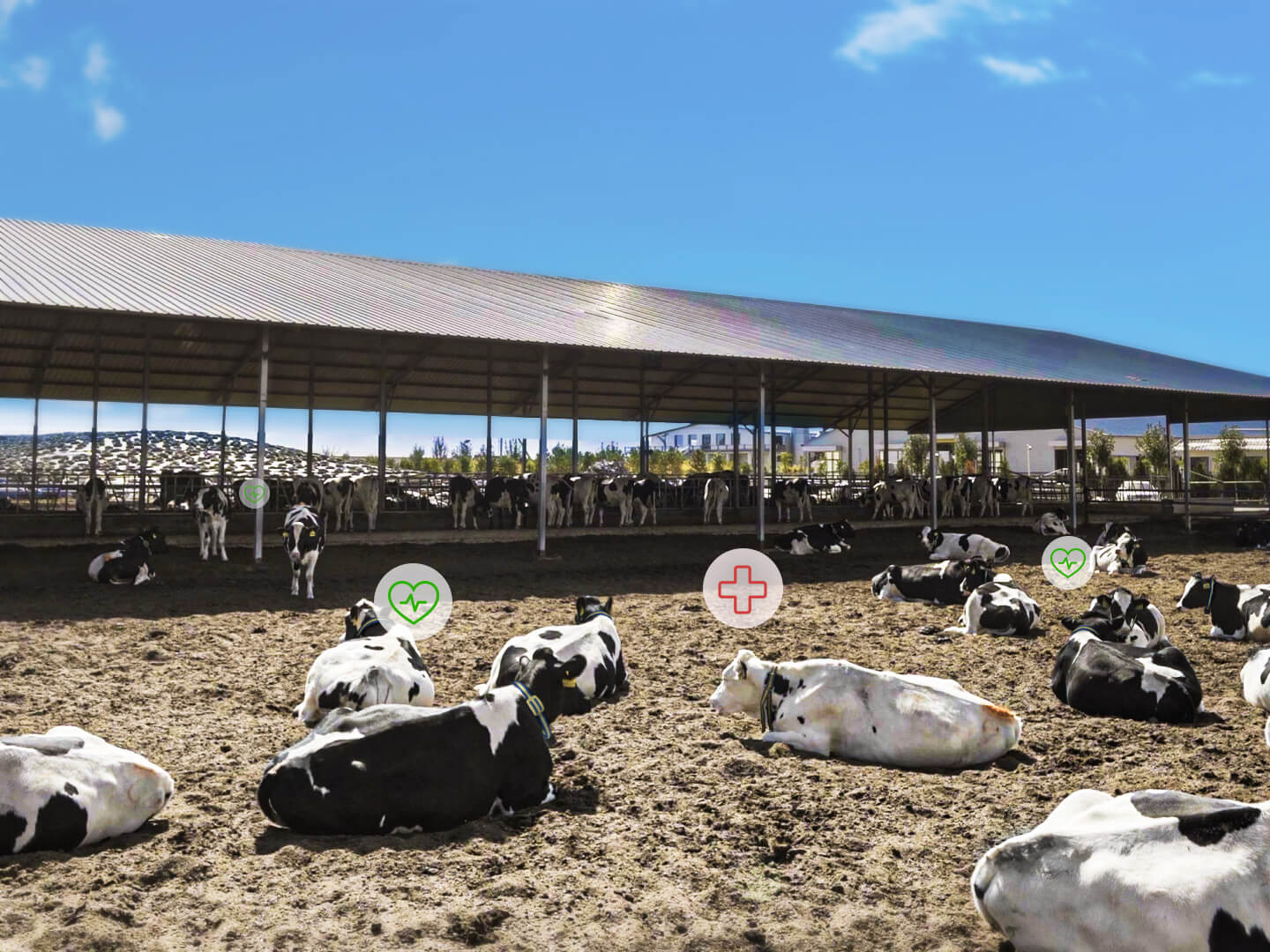 Smart Cow Collar for Heat Detection and Health Monitoring | Sveaverken