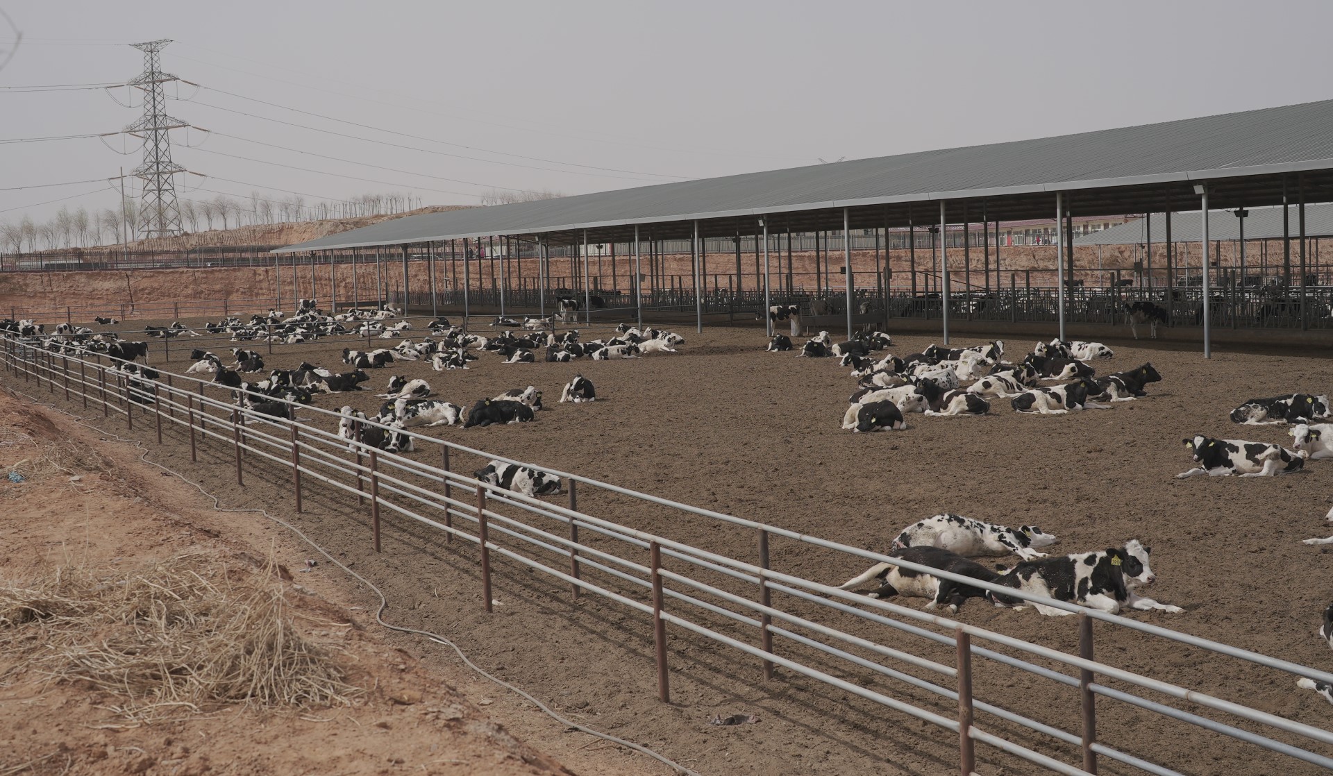 Sveaverken's High-precision Heat-detection, Rumination, Eating ...