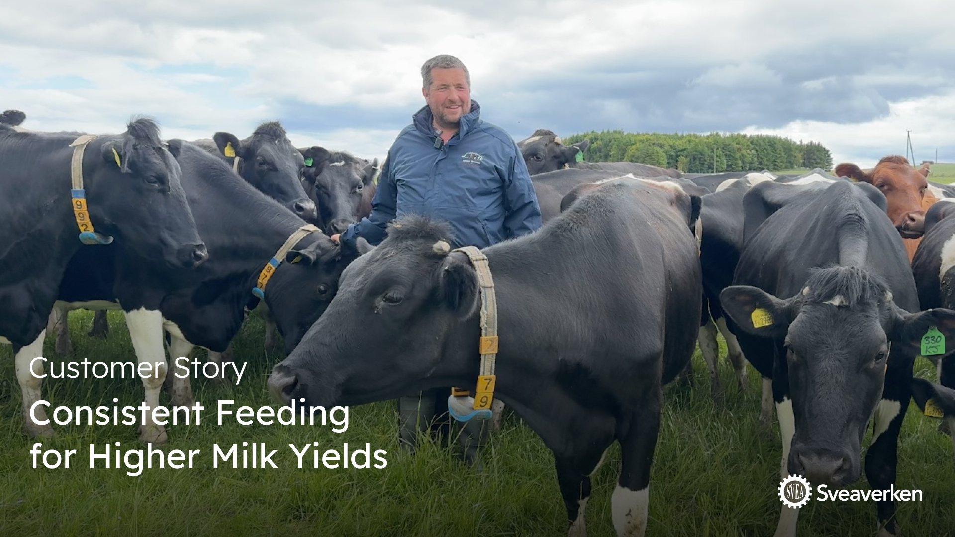 Consistent Feeding for Higher Milk Yields: Scottish Dairy Farm's Story