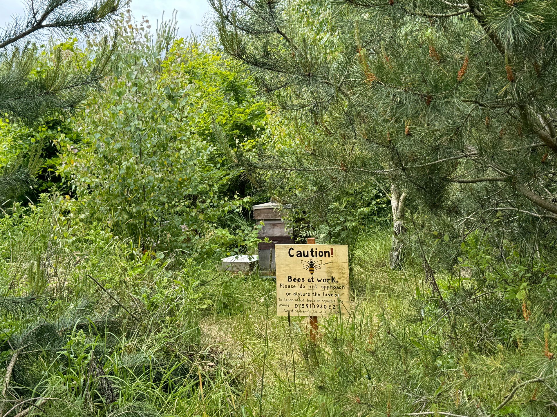 Nurturing the Land and Community: Steven Grieve’s Approach to Farming