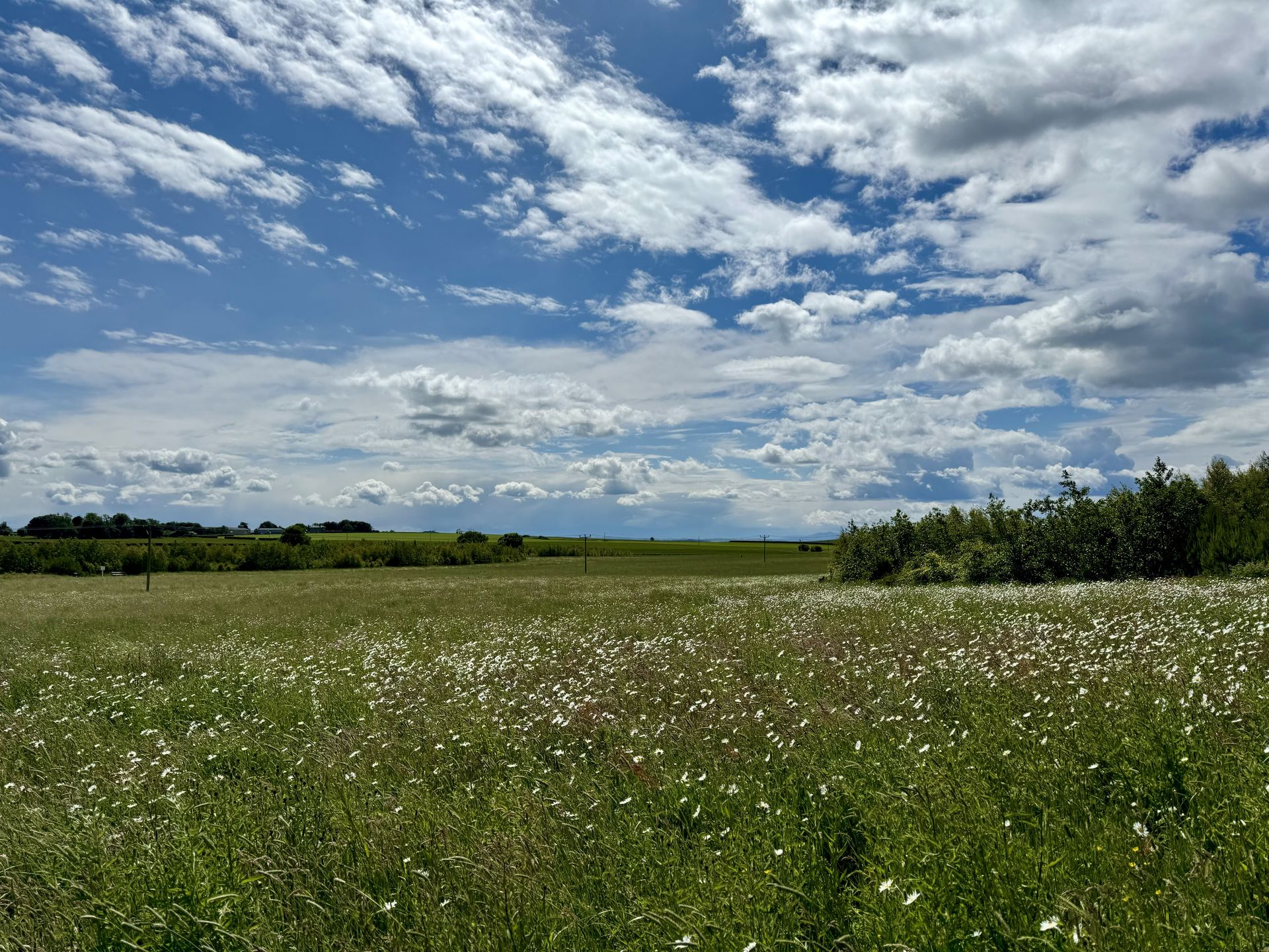 Nurturing the Land and Community: Steven Grieve’s Approach to Farming