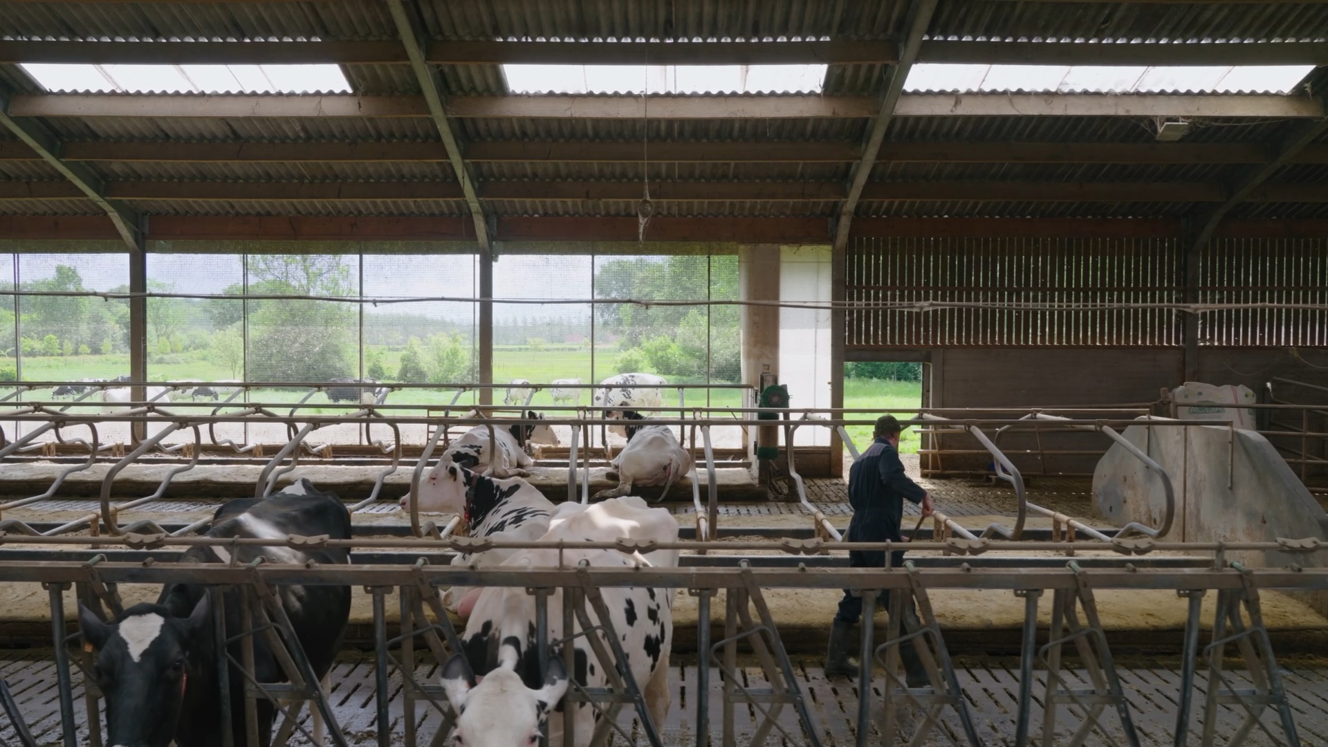 How the RoboPusher Nimbo Modernized a Three-Generation Dairy Farm in ...