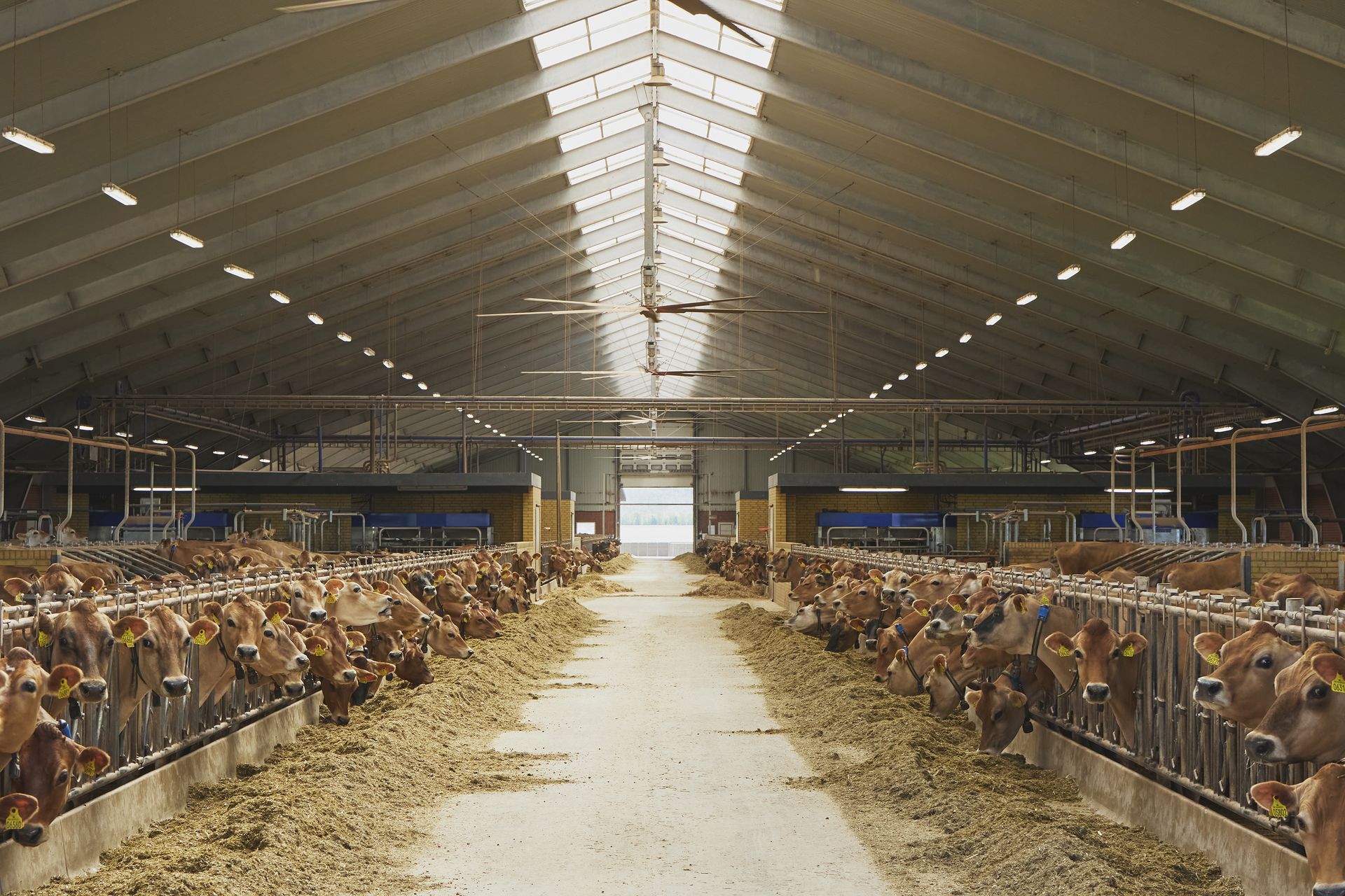 Sveaverken - Animal Farming with Automation